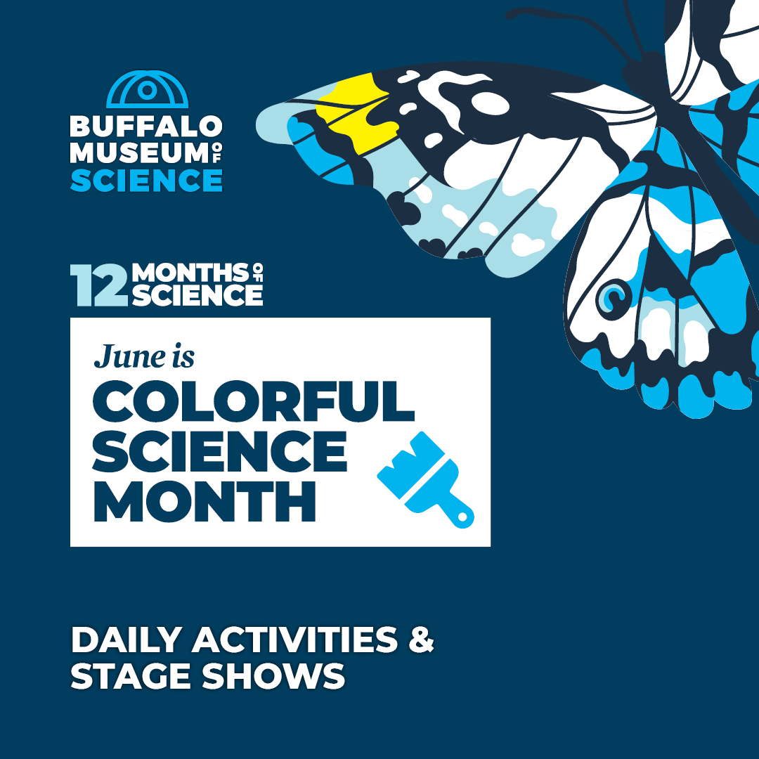 Colorful Science Month at Buffalo Museum of Science | Kids Out and ...
